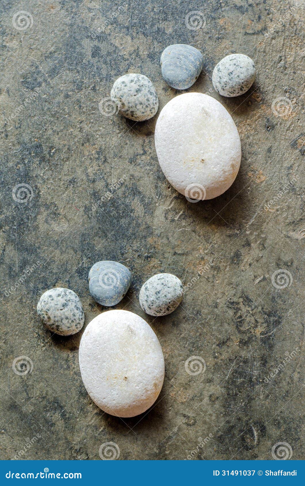 Cat foot steps stock image. Image of natural, foot, form - 31491037