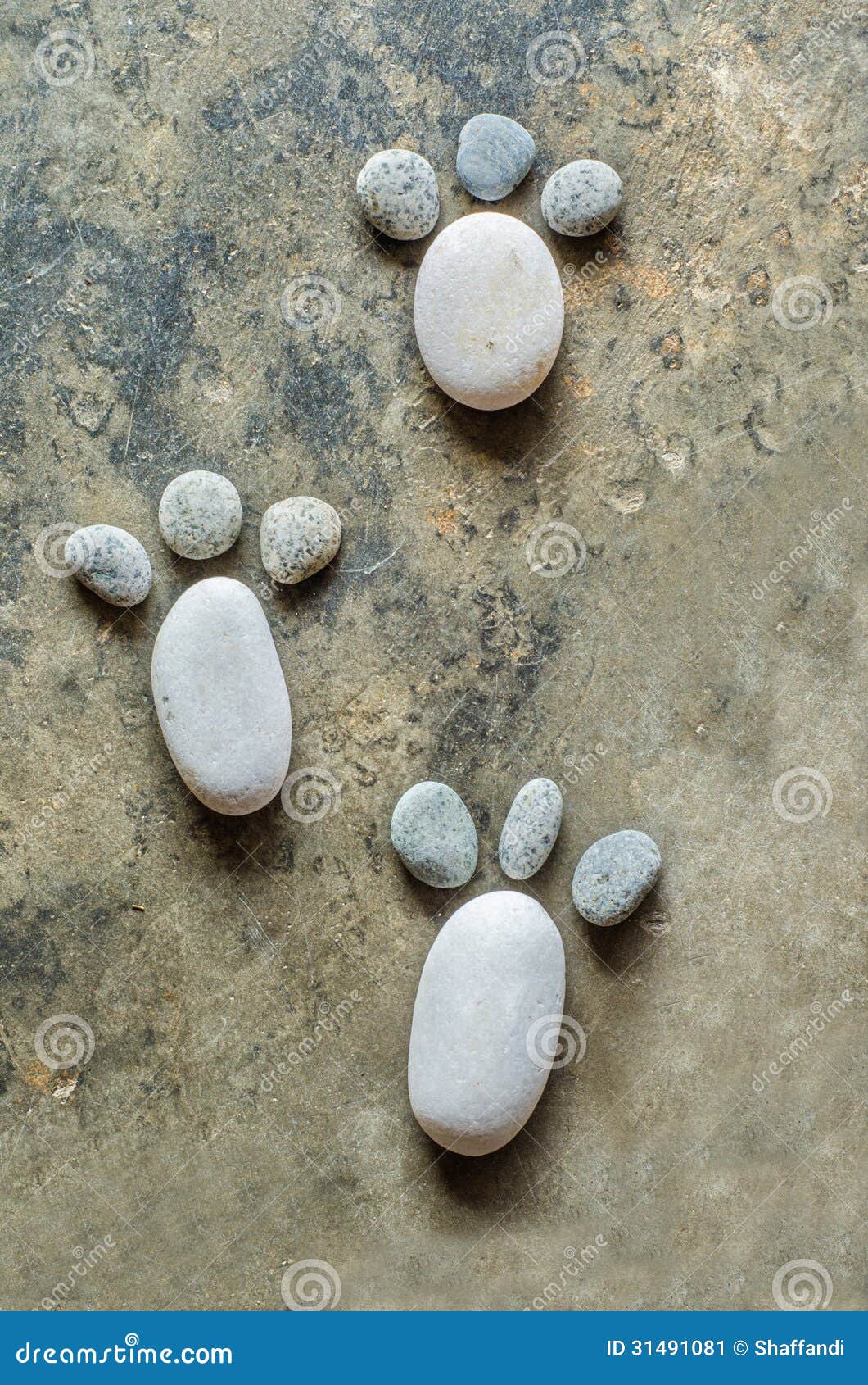 Cat foot steps stock image. Image of mineral, groyne - 31491081