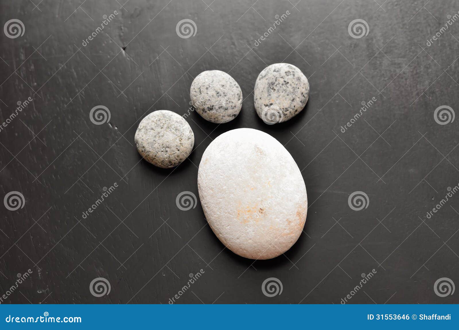 Cat foot steps stock photo. Image of natural, foot, print - 31553646