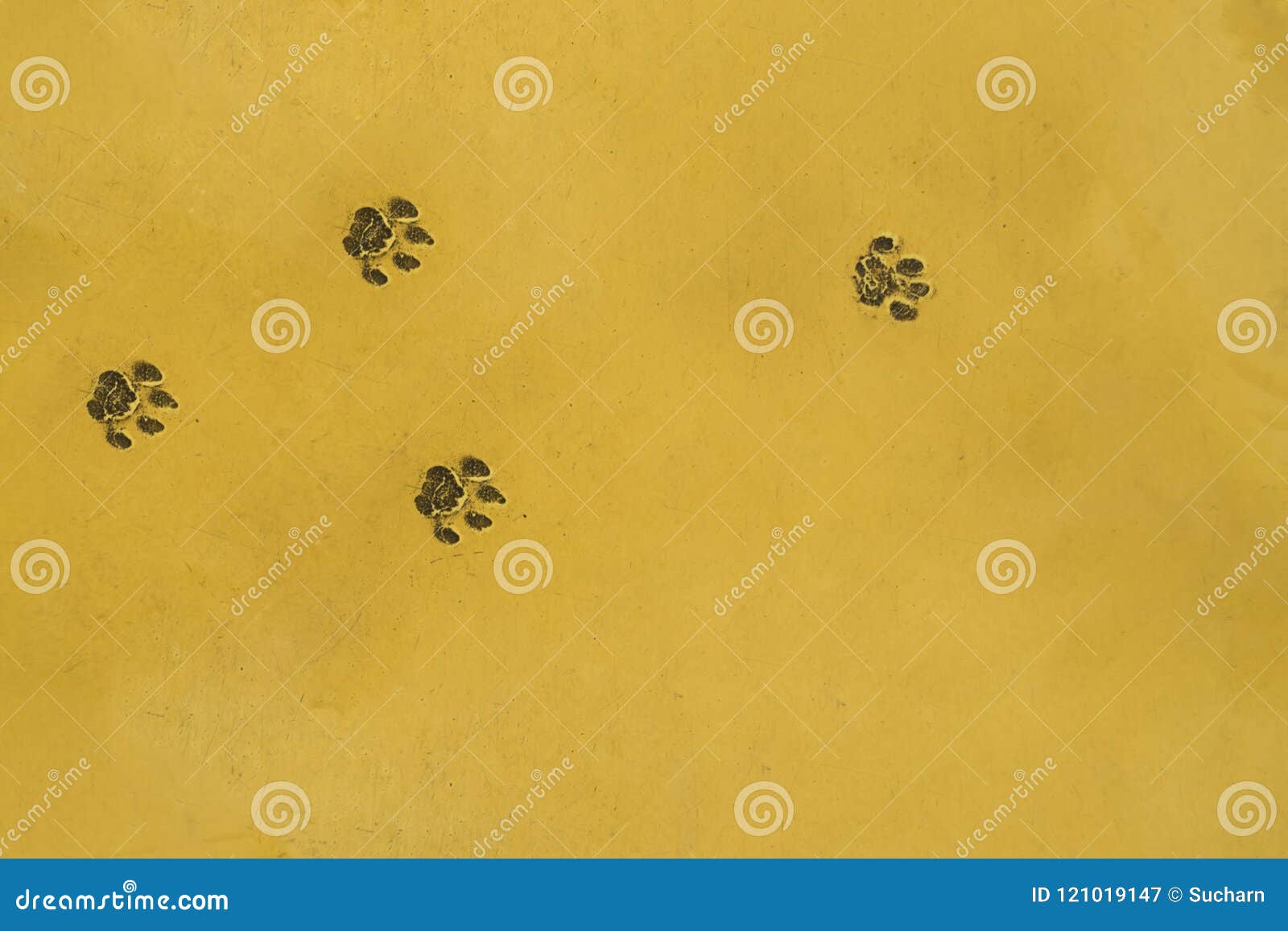 Cat Footprint on Yellow Cement Floor. Background and Texture of Stock ...