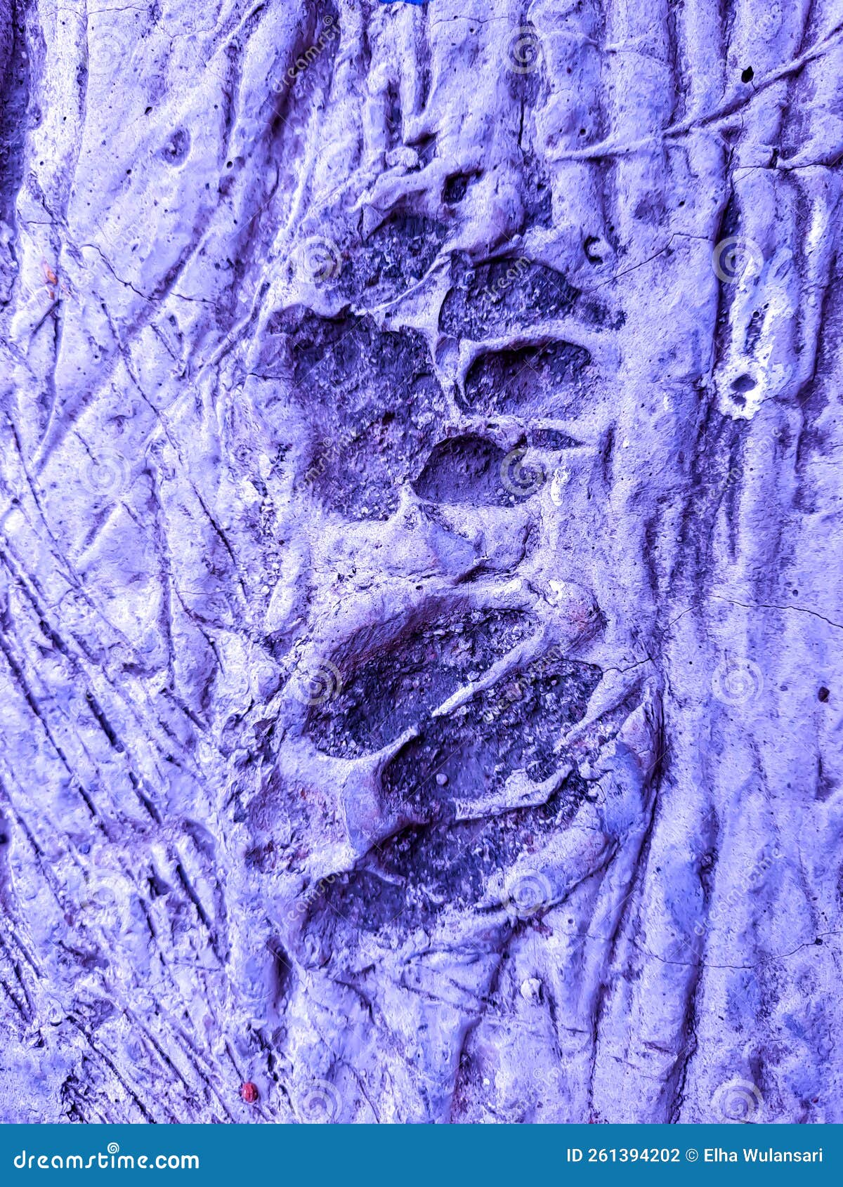 Cat Footprints on Cement Concrete, with Blue Background Stock Photo ...