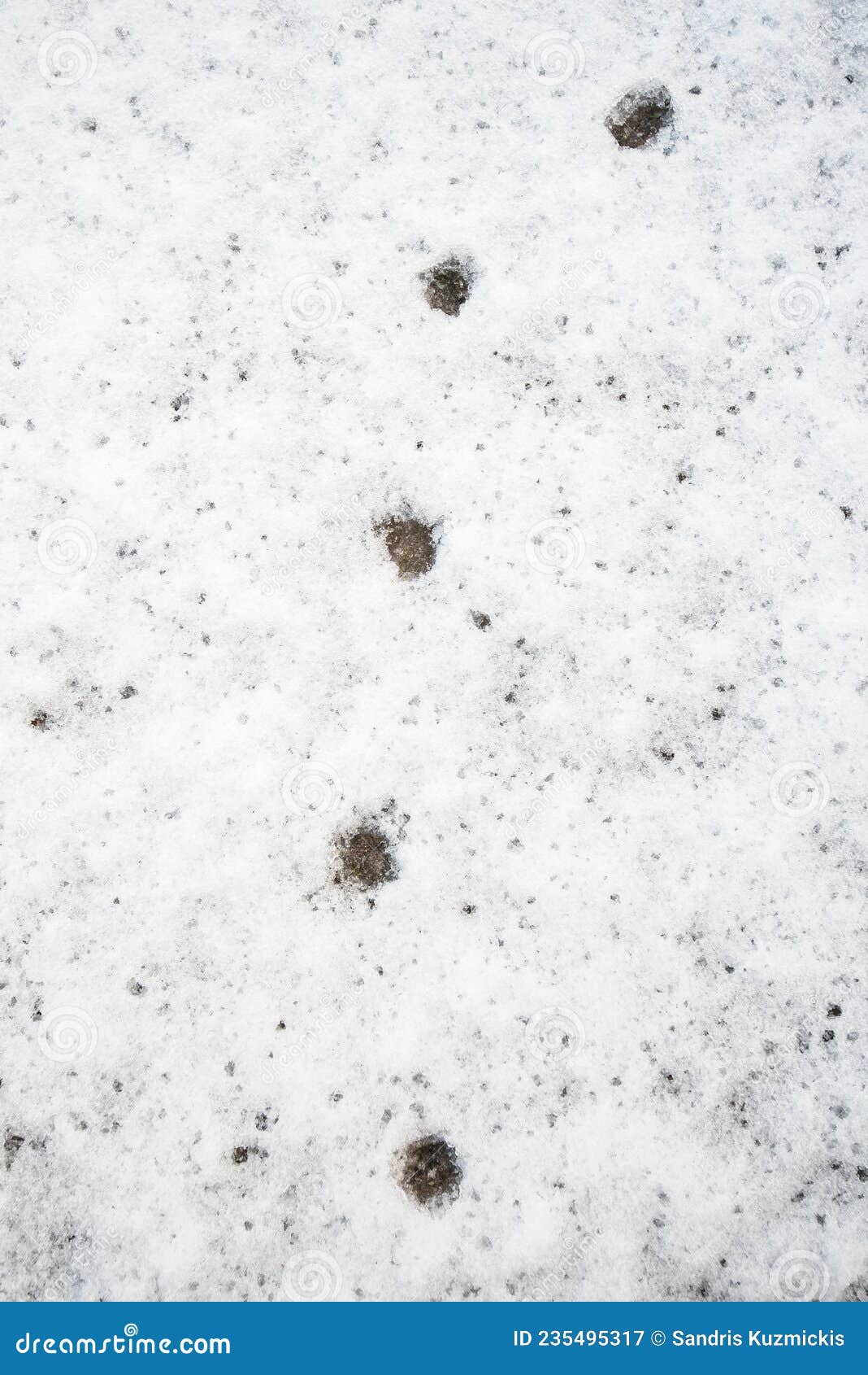 Footprints In Melting Snow. Snow Texture With Shoeprints. Royalty-Free ...