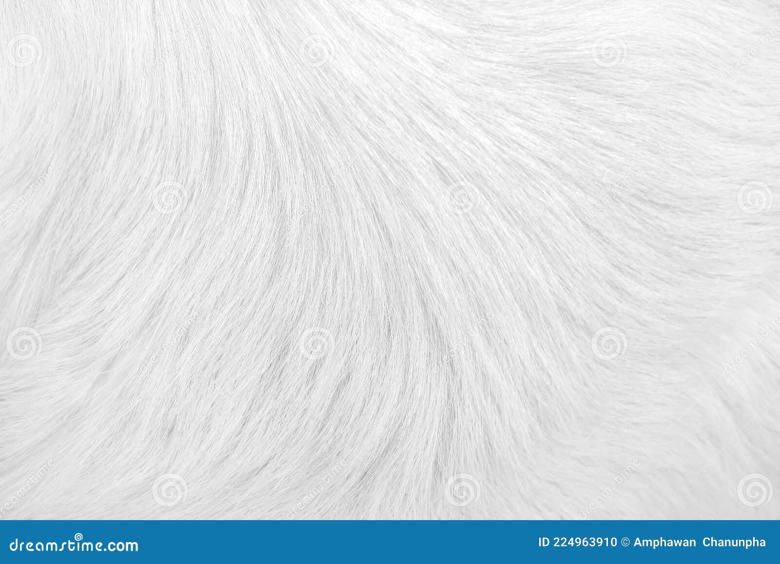 Cat Fur Background White Texture with Line Seamless Patterns Stock ...