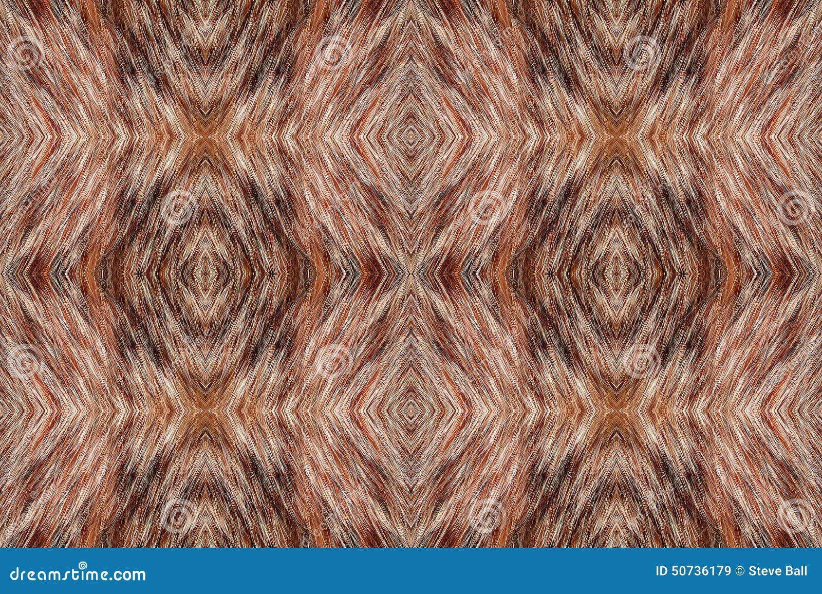 Cat fur pattern stock image. Image of pattern, reflected - 50736179