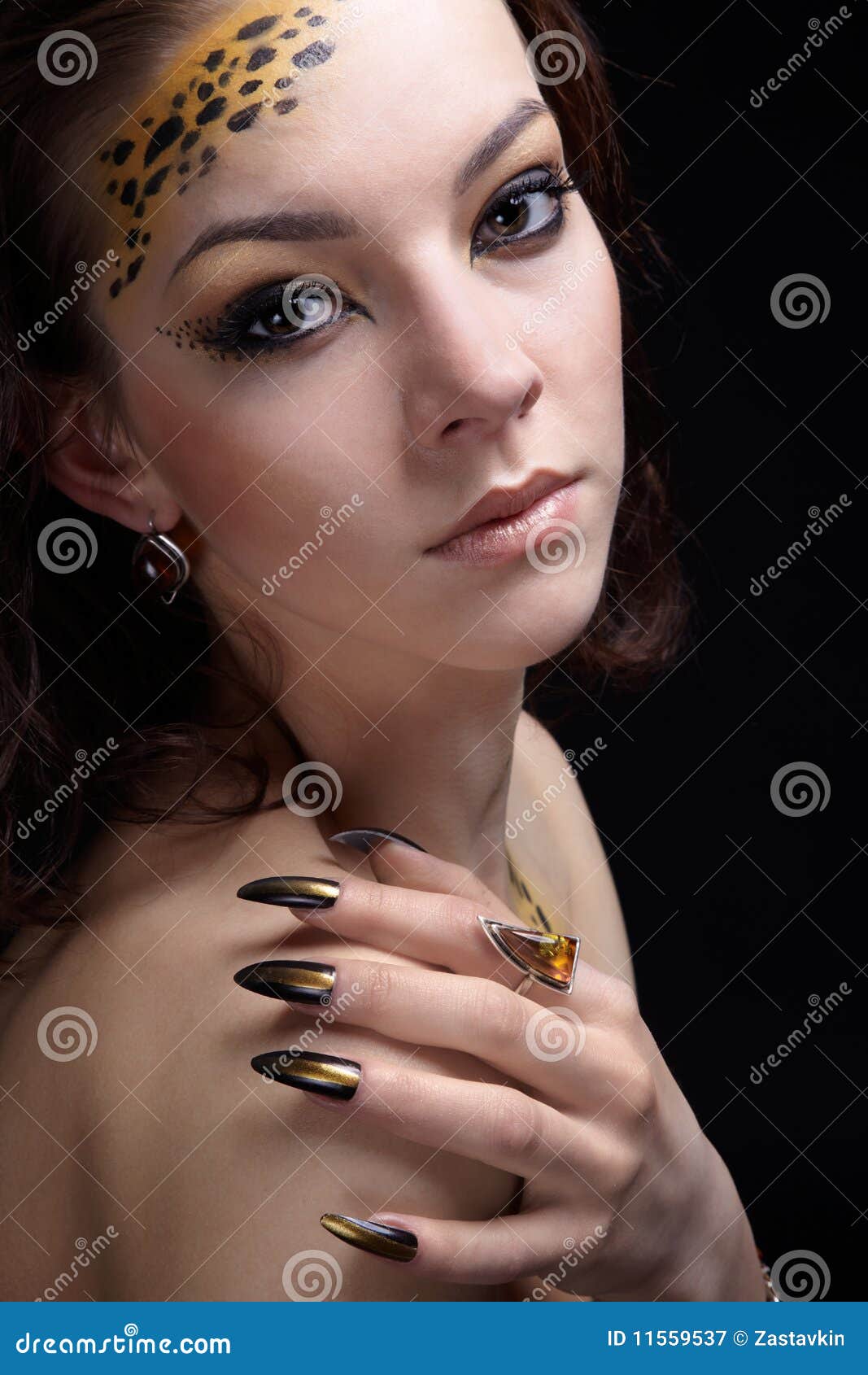 Cat girl stock image. Image of portfolio, feline, glamour - 11559537