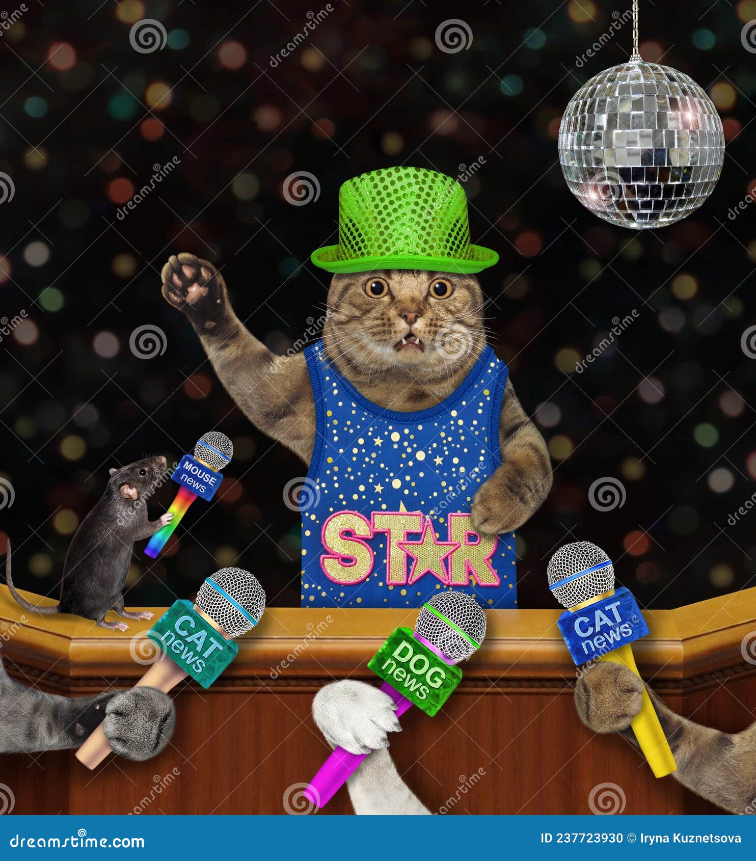 Cat Gives Interview To Press 2 Stock Photo - Image of motivation, media ...