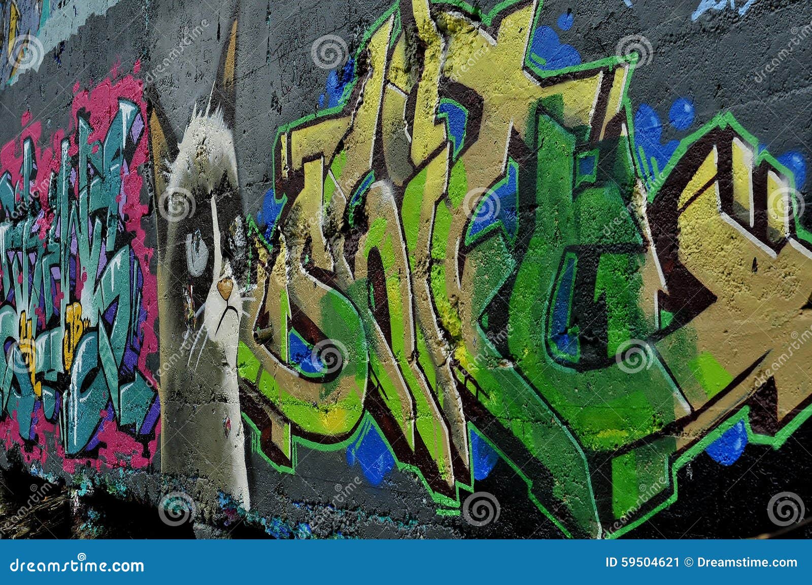 Cat and Graffiti on Old Wall Editorial Photo - Image of abandoned, grey ...