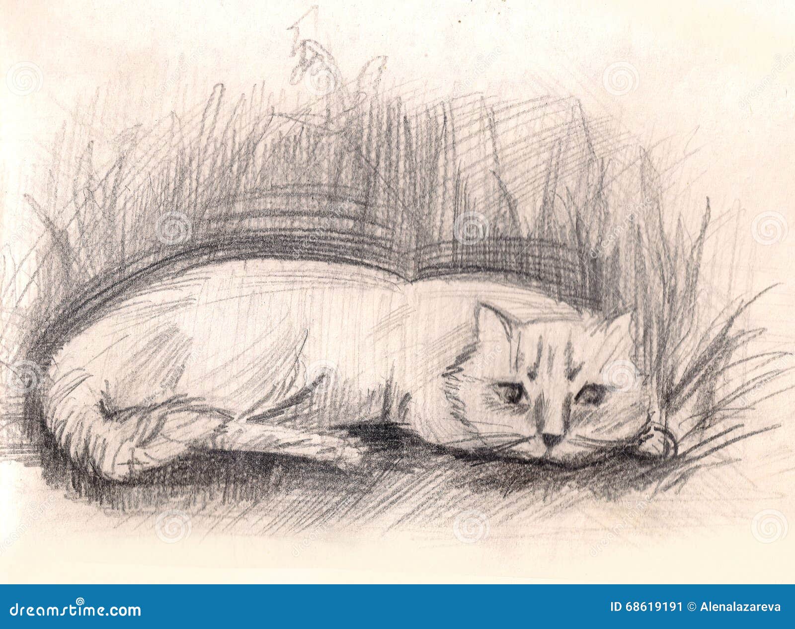Cat in a Grass. Sketch. Hand Painted Pencil Drawing Stock Illustration ...