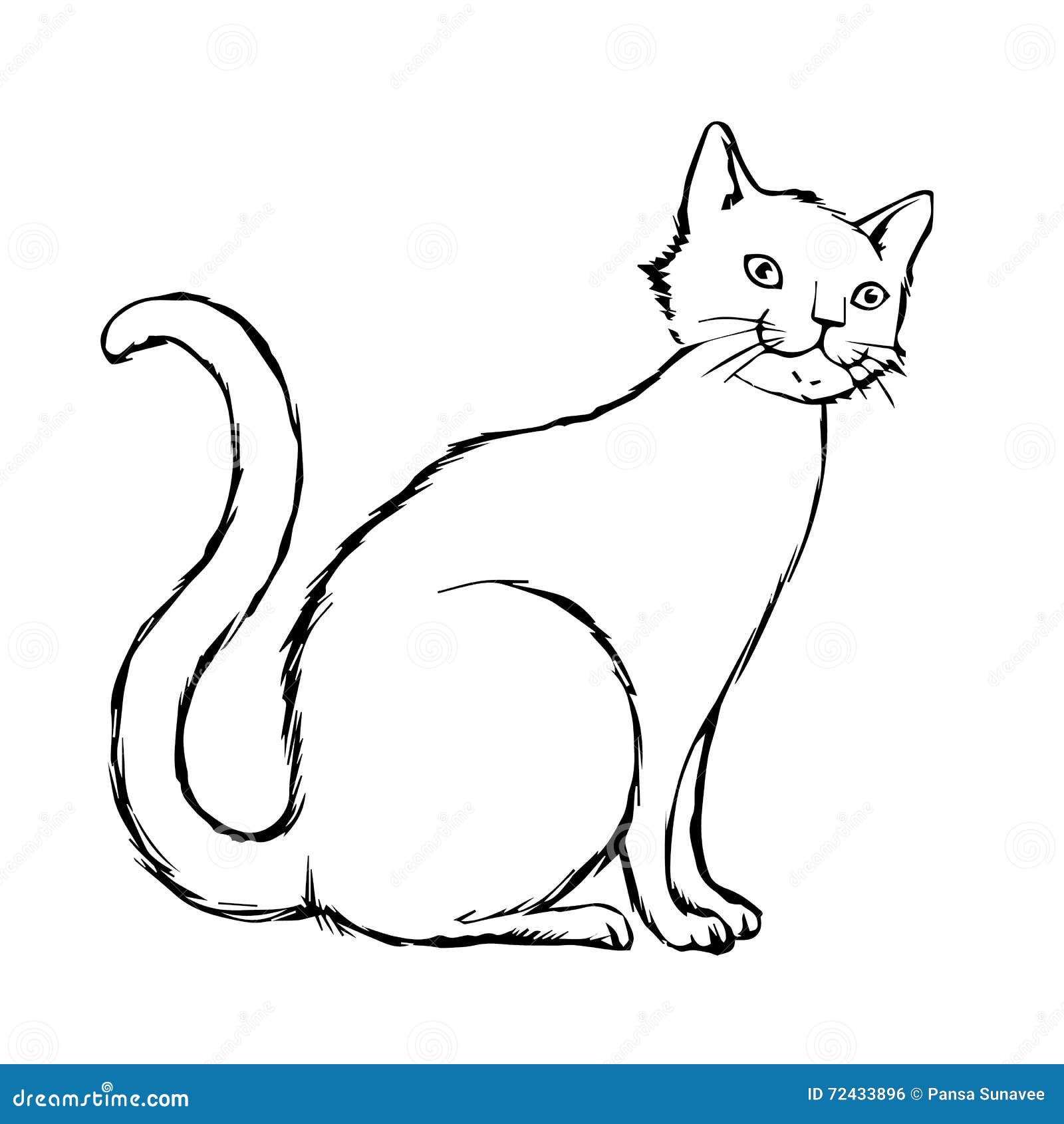 Cat hand drawn stock vector. Illustration of freehand - 72433896