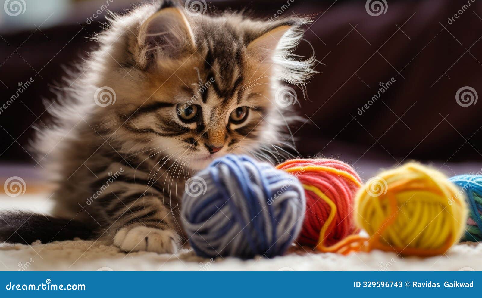 Cat Happily Tangled in Yarn Play Stock Illustration - Illustration of ...