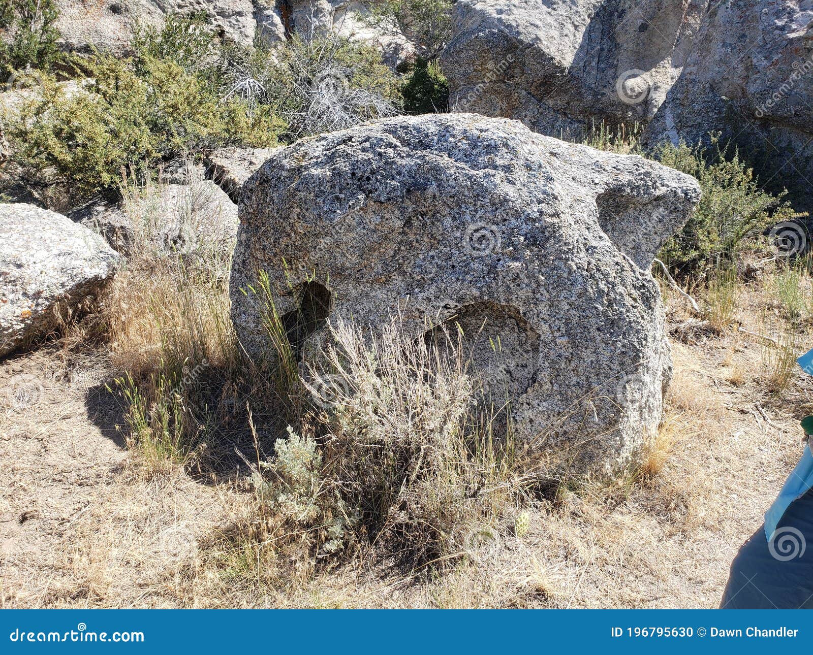 Cat head shaped stone stock photo. Image of boulder - 196795630