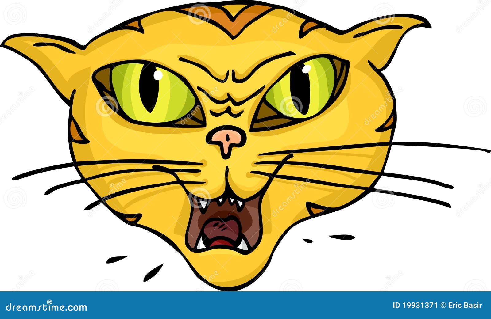 Cat Hiss stock vector. Illustration of drawing, anger - 19931371