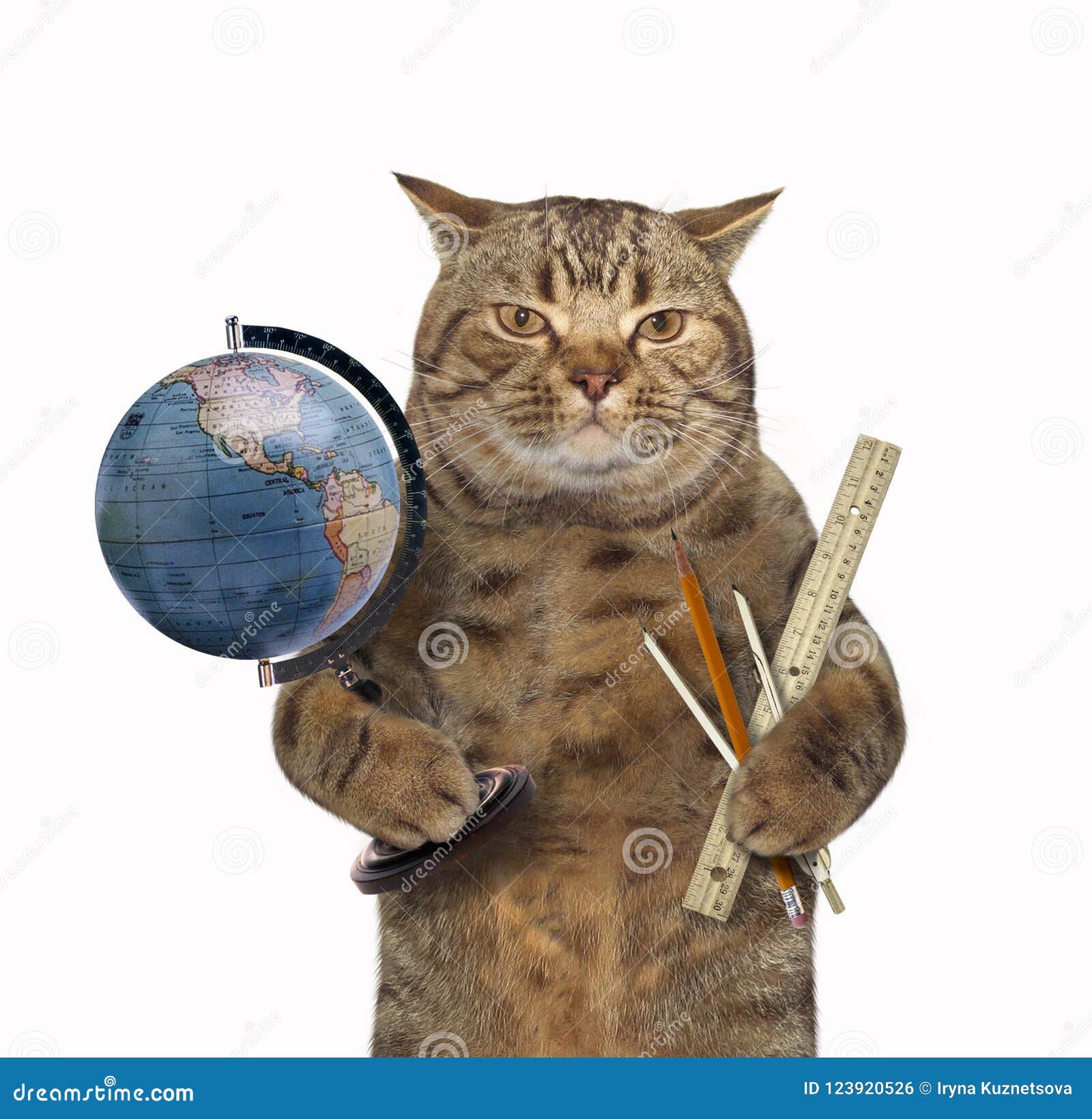 241 Cat Ruler Stock Photos - Free & Royalty-Free Stock Photos from ...