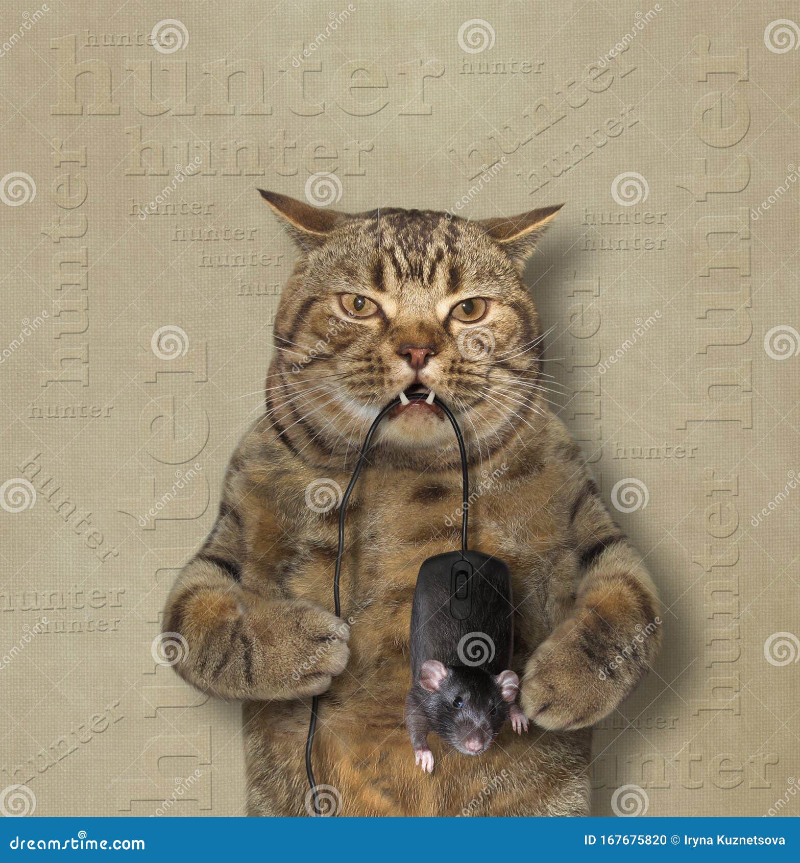 Cat holds computer mouse stock photo. Image of holding - 167675820
