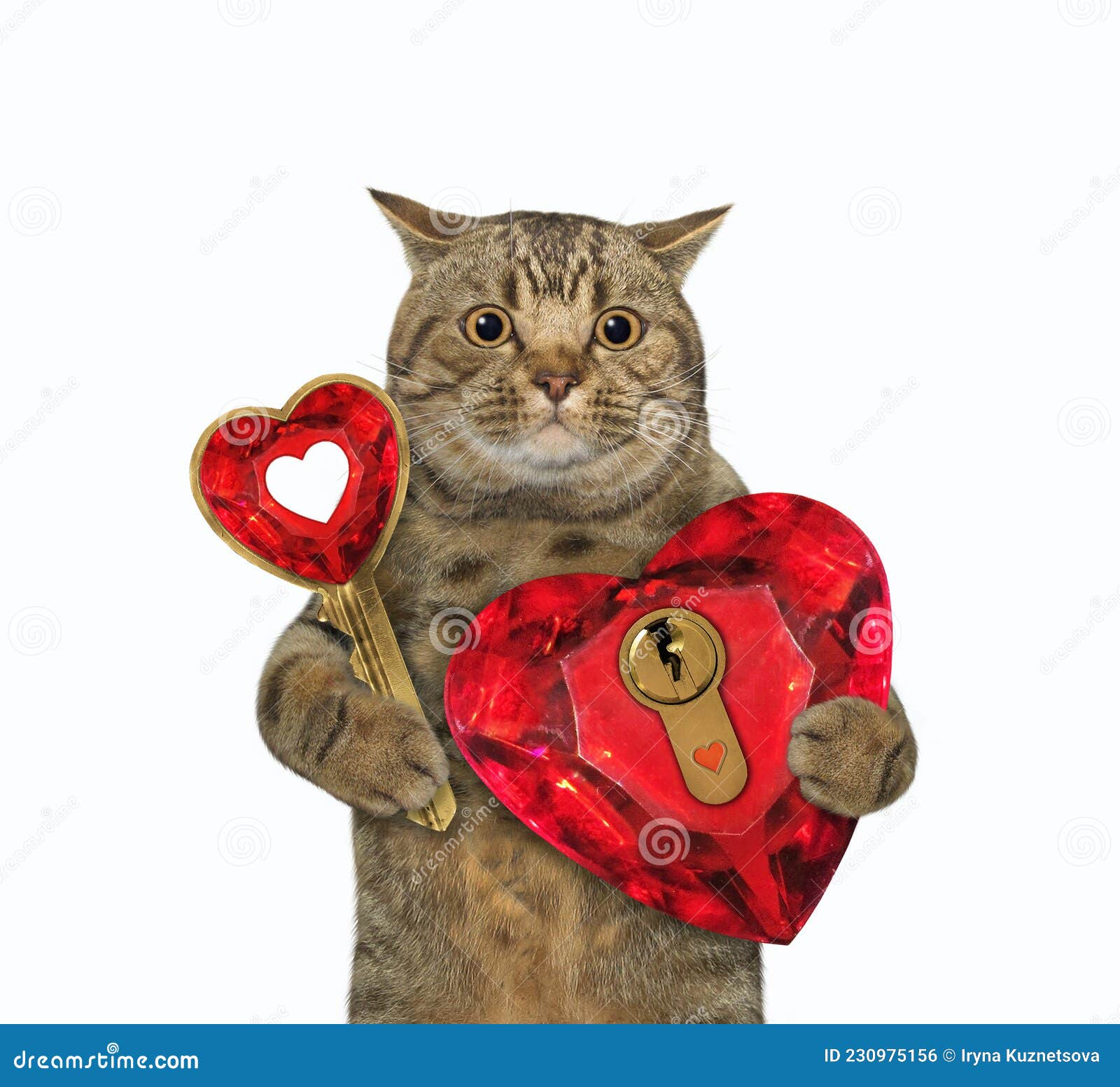 Cat Holds Ruby Heart Shaped Lock and Key Stock Photo - Image of concept ...