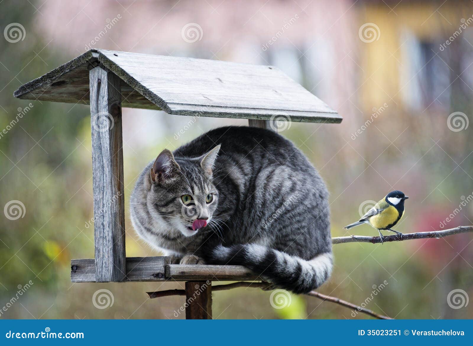 Bird Hunting Silhouette Royalty-Free Stock Image | CartoonDealer.com ...