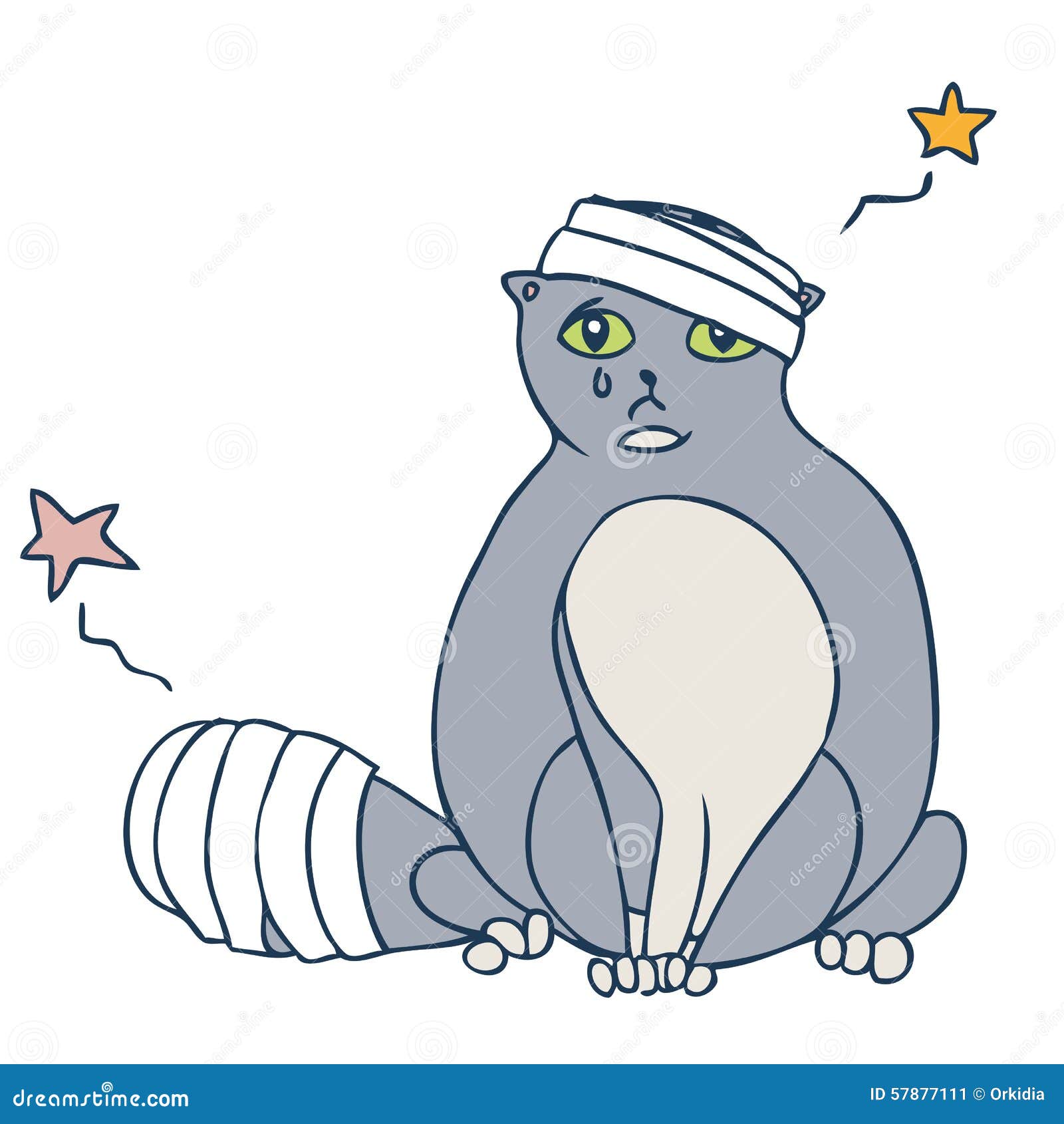 Cat hurt stock vector. Illustration of hurt, veterinary - 57877111