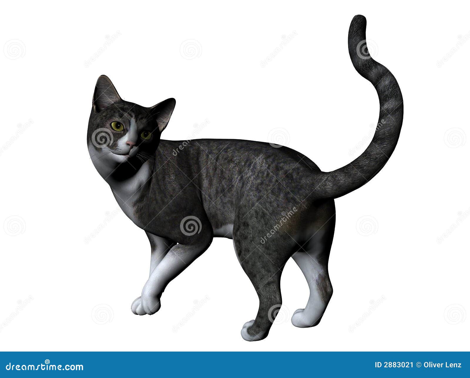 Amiable Look Stock Illustrations – 46 Amiable Look Stock Illustrations ...