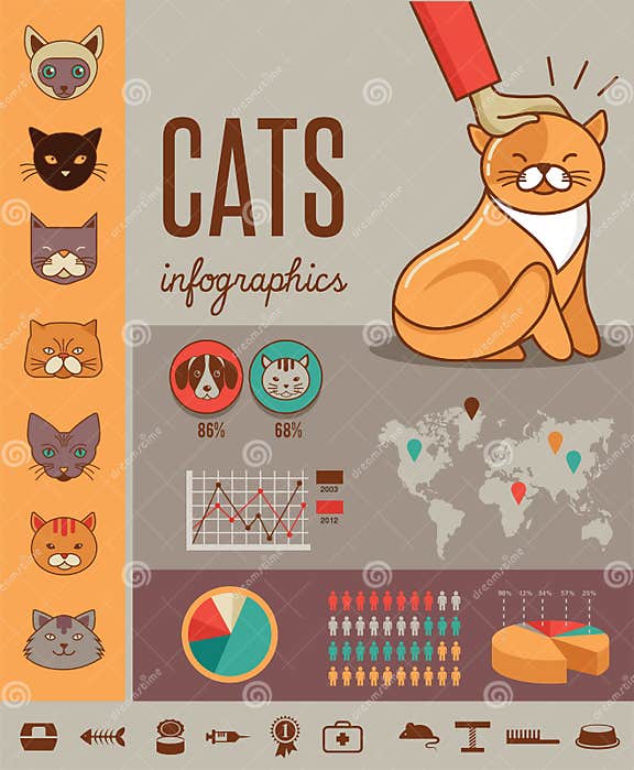 Cat Infographics with Vector Icons Set Stock Vector - Illustration of ...
