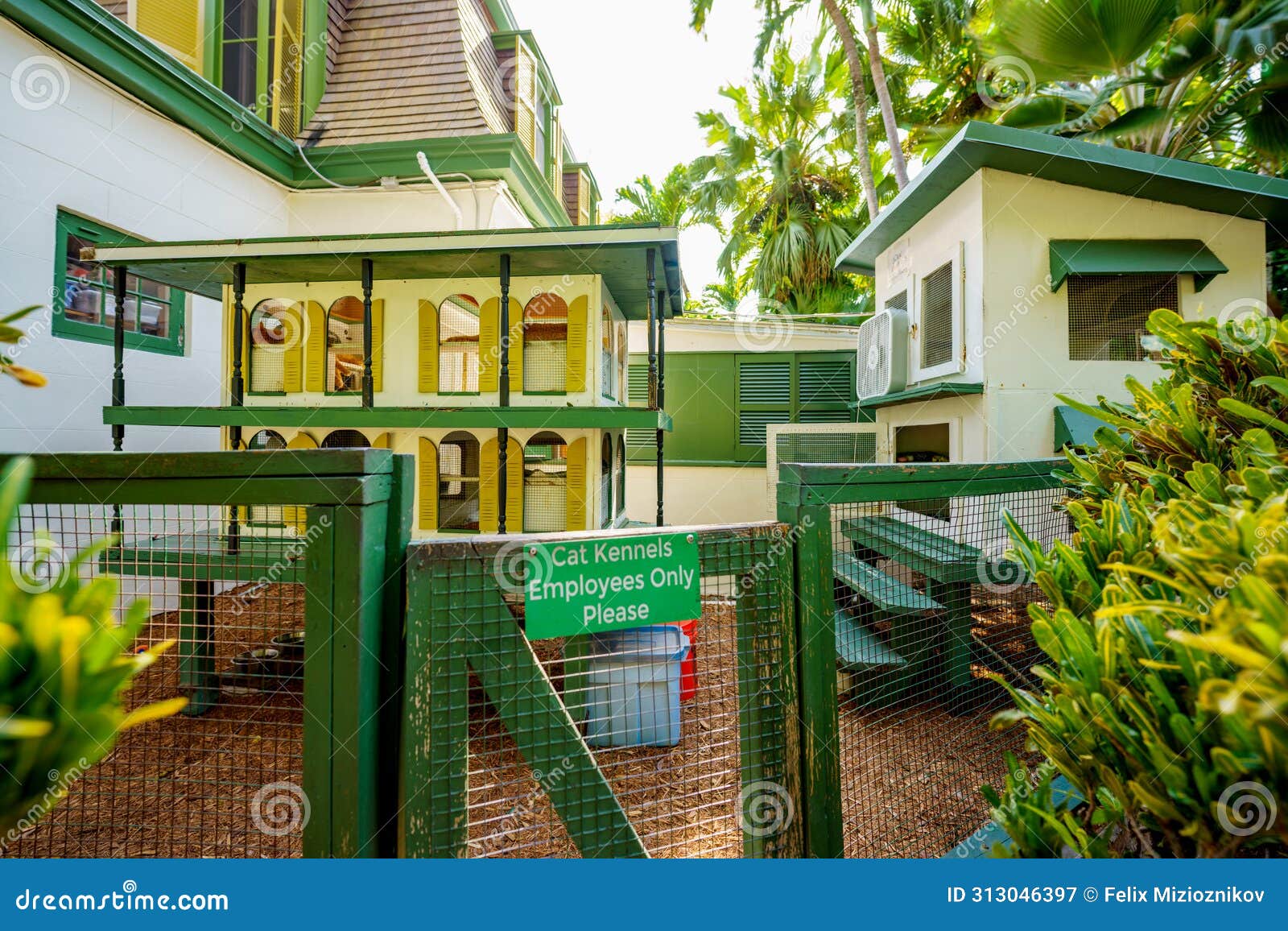 Cat Kennels at Hemingway Home Key West Florida Stock Image - Image of ...