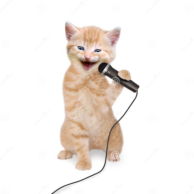 Cat Kitten Singing into Microphone Stock Image - Image of superstar ...