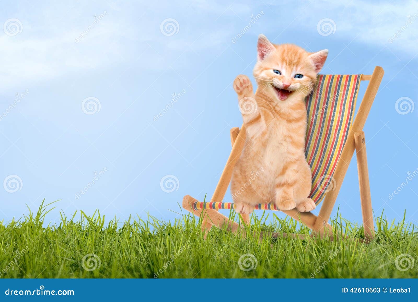 Cat / Kitten Sitting in Deck Chair / Sunlounger Stock Image - Image of ...