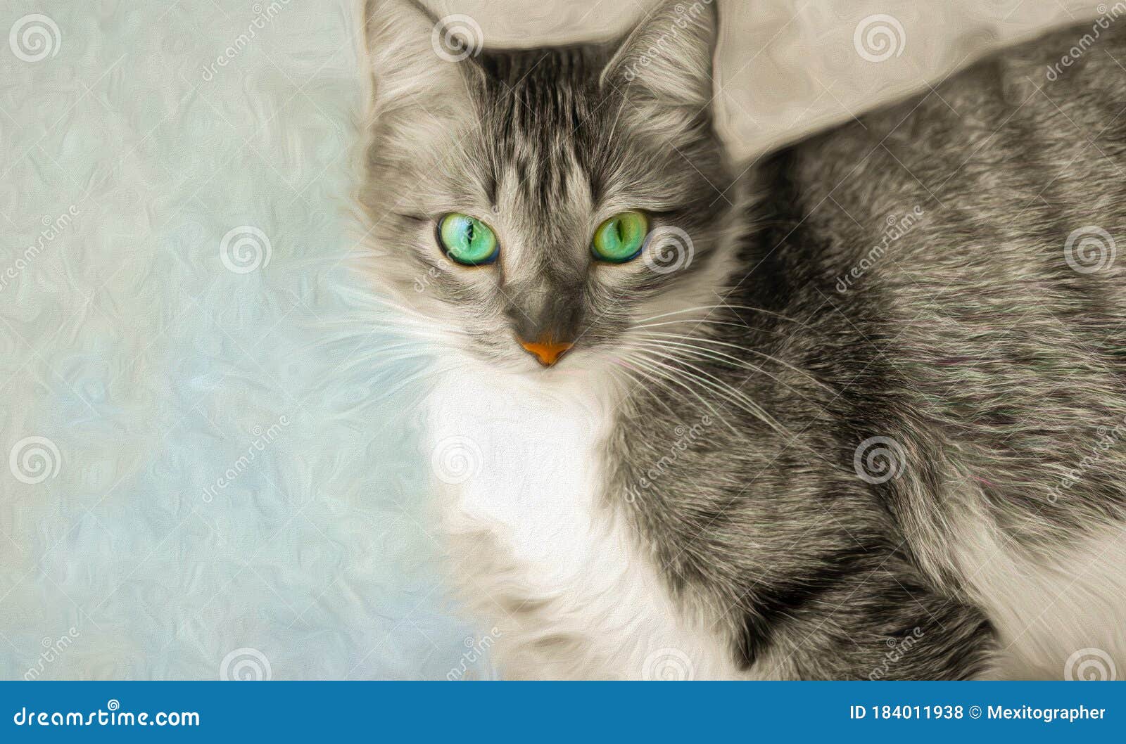 Cat Kitten Tabby stock photo. Image of pretty, green - 184011938