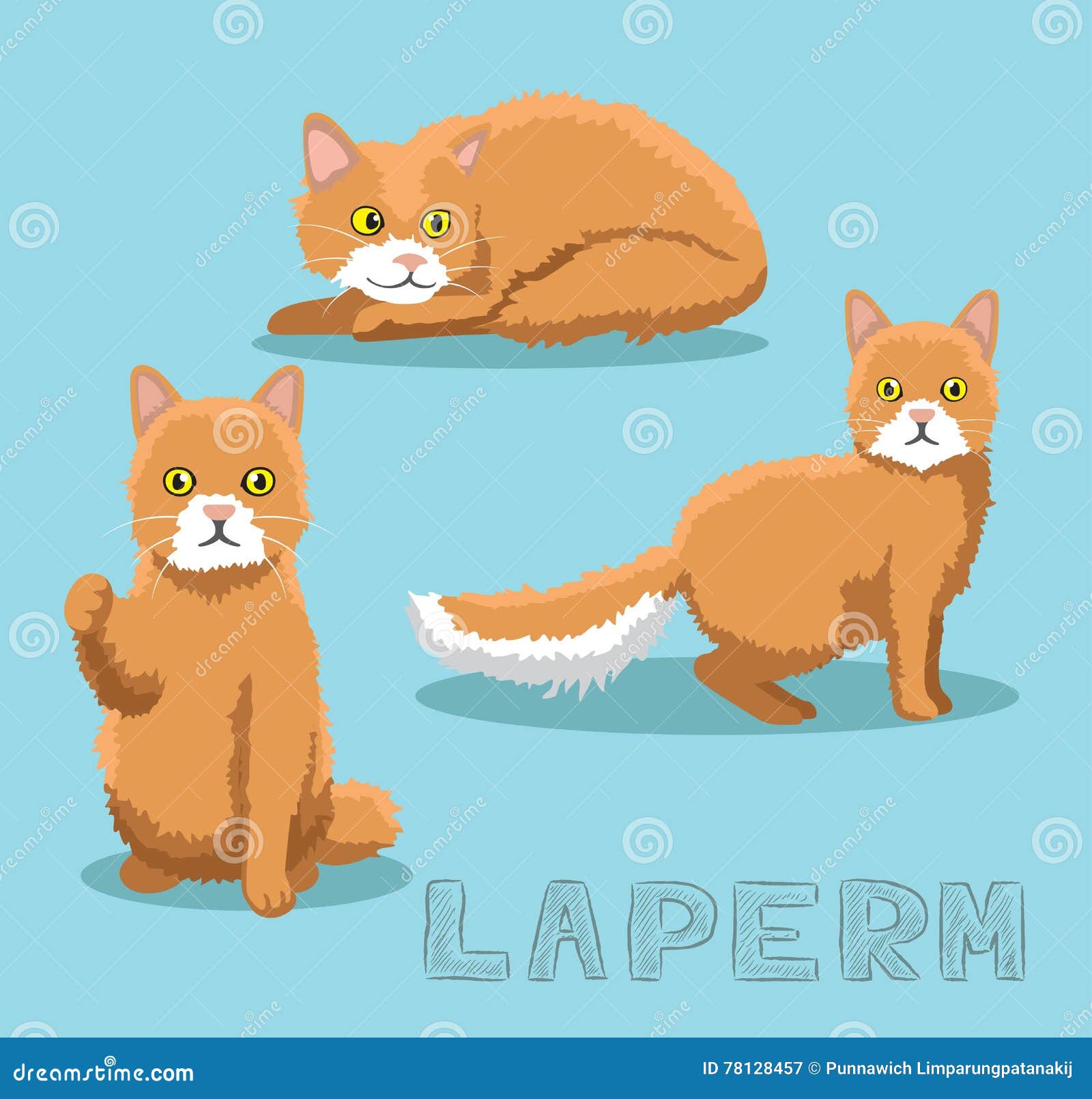 Cat Laperm Cartoon Vector Illustration Stock Vector - Illustration of ...