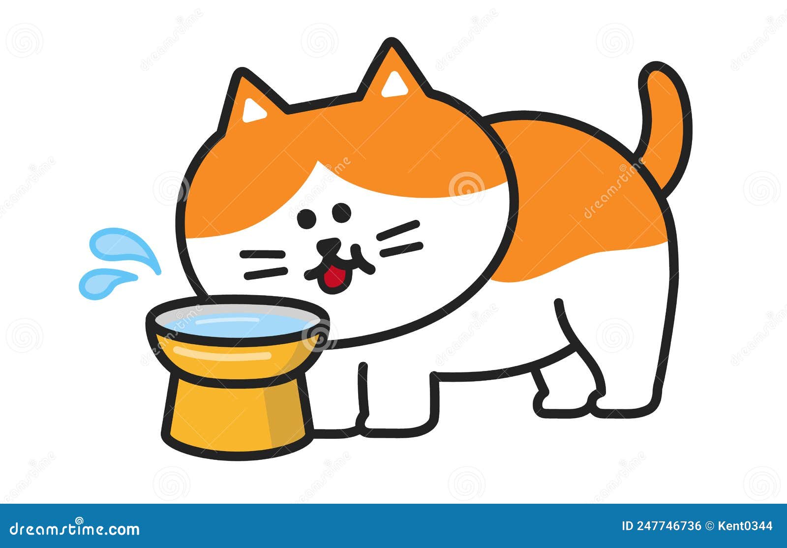 A Cat is Lapping Water from an Elevated Bowl Happily. Stock Vector ...
