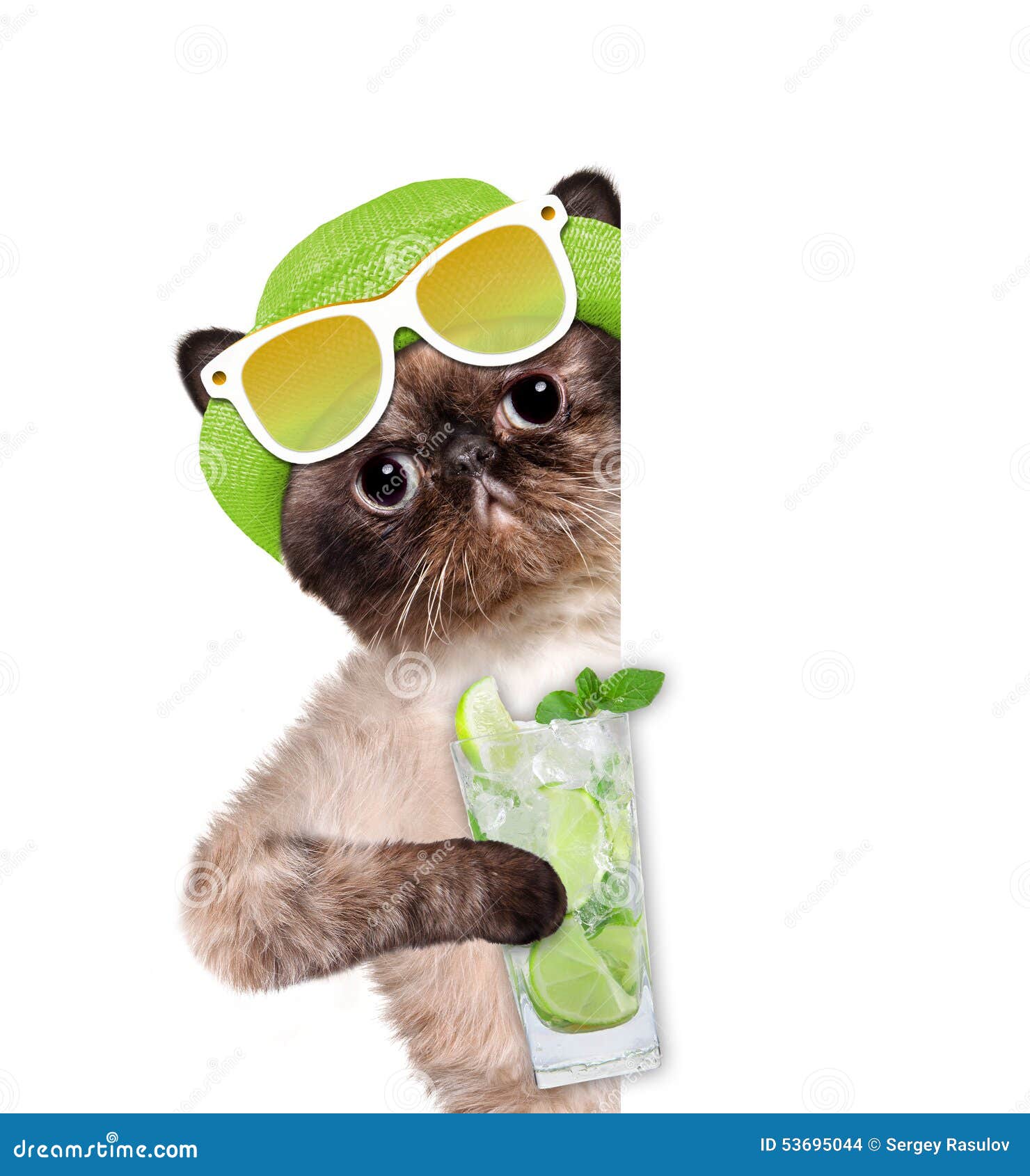 Cat with lemonade. stock photo. Image of modern, holiday - 53695044