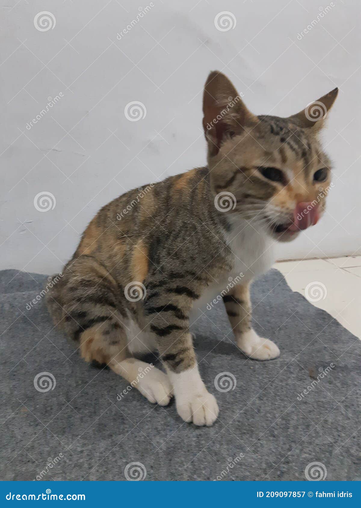 Xcnm Stock Photos - Free & Royalty-Free Stock Photos from Dreamstime