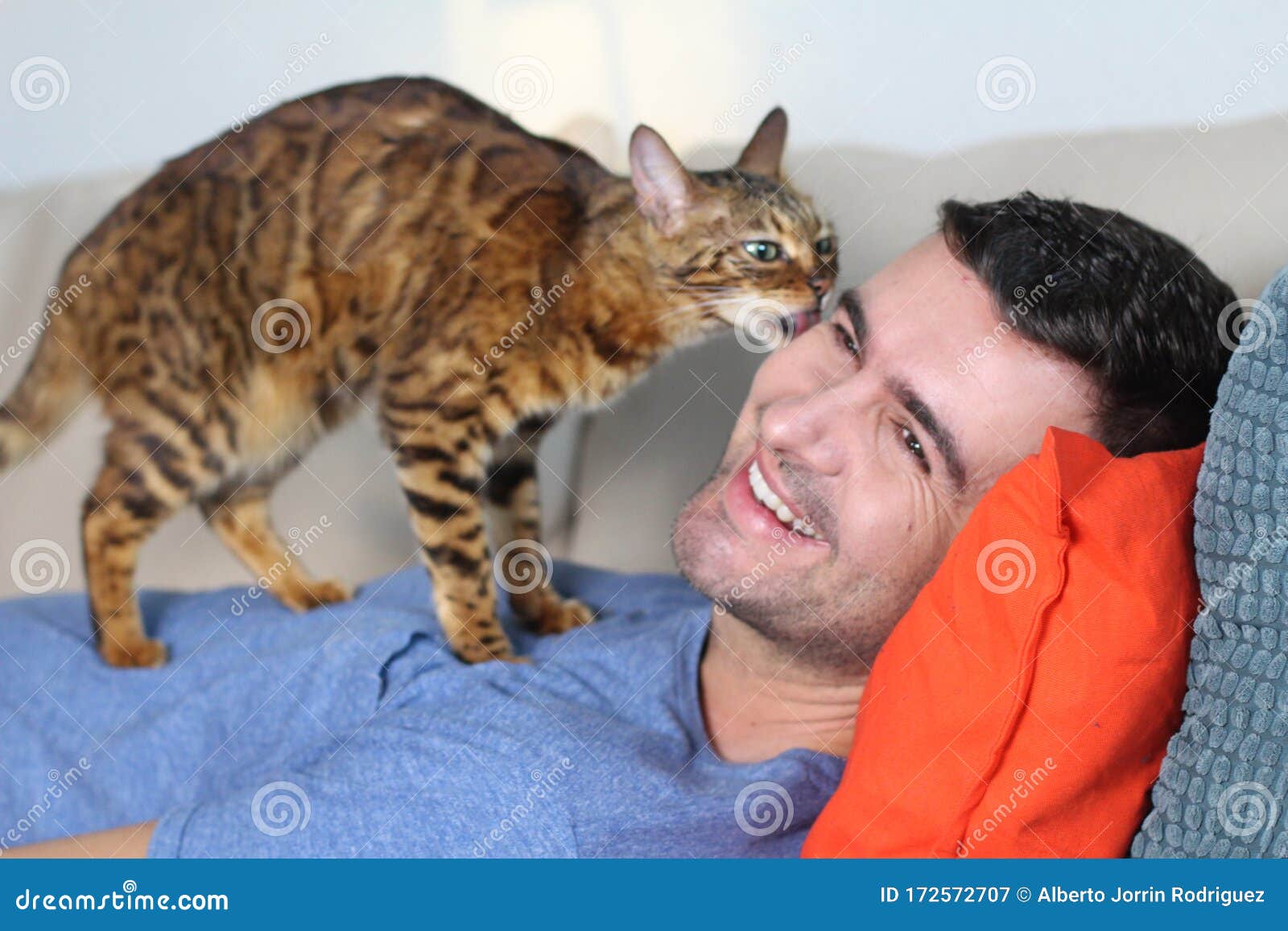 Cat Licking Owners Face at Home Stock Image - Image of human, adult ...