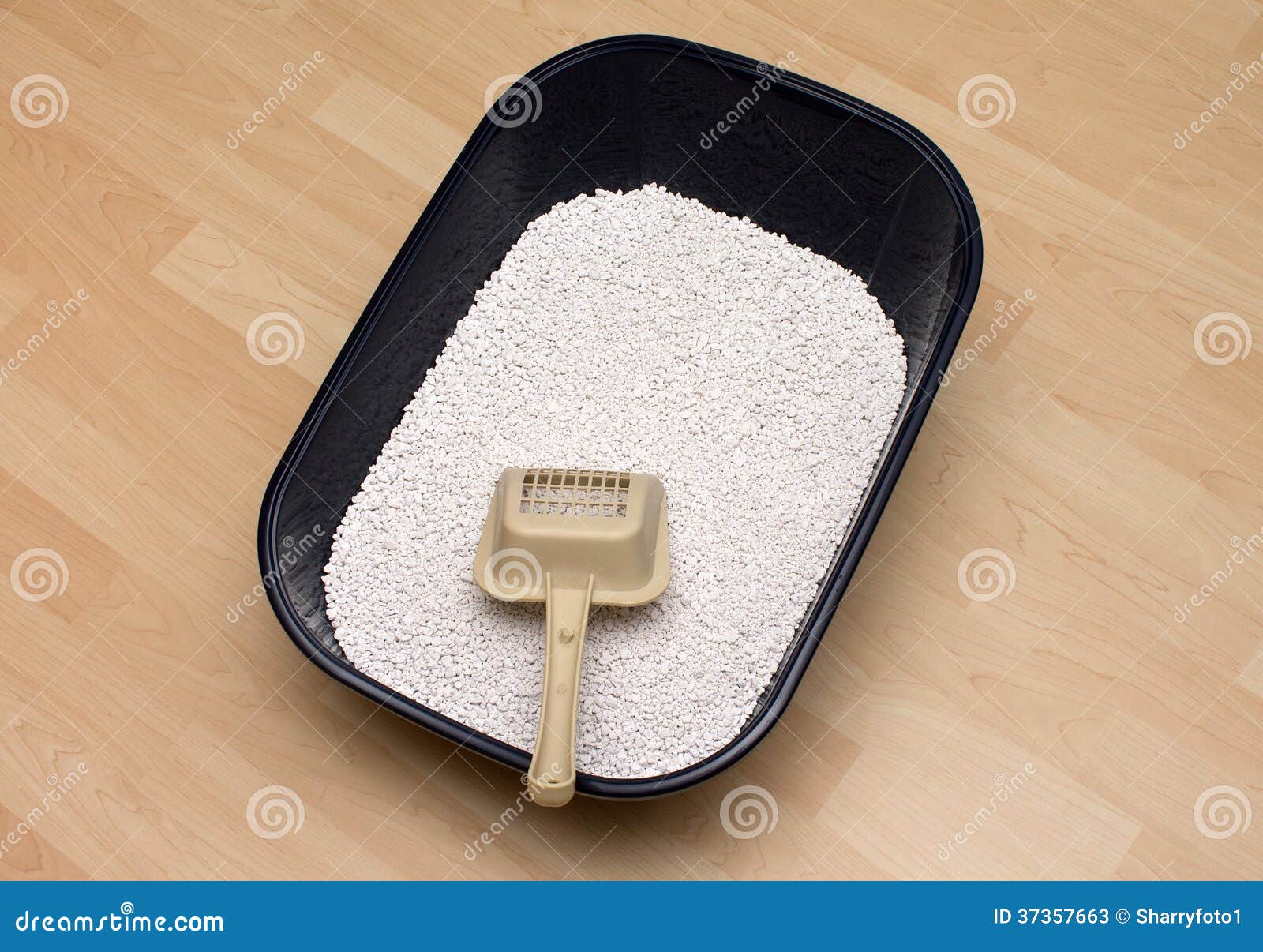 Cat litter stock image. Image of bedding, animal, litter - 37357663