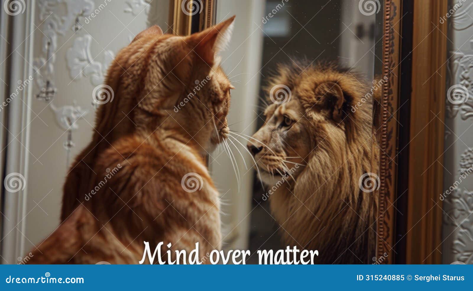 A Cat Looking at a Lion in the Mirror, AI Stock Image - Image of ...