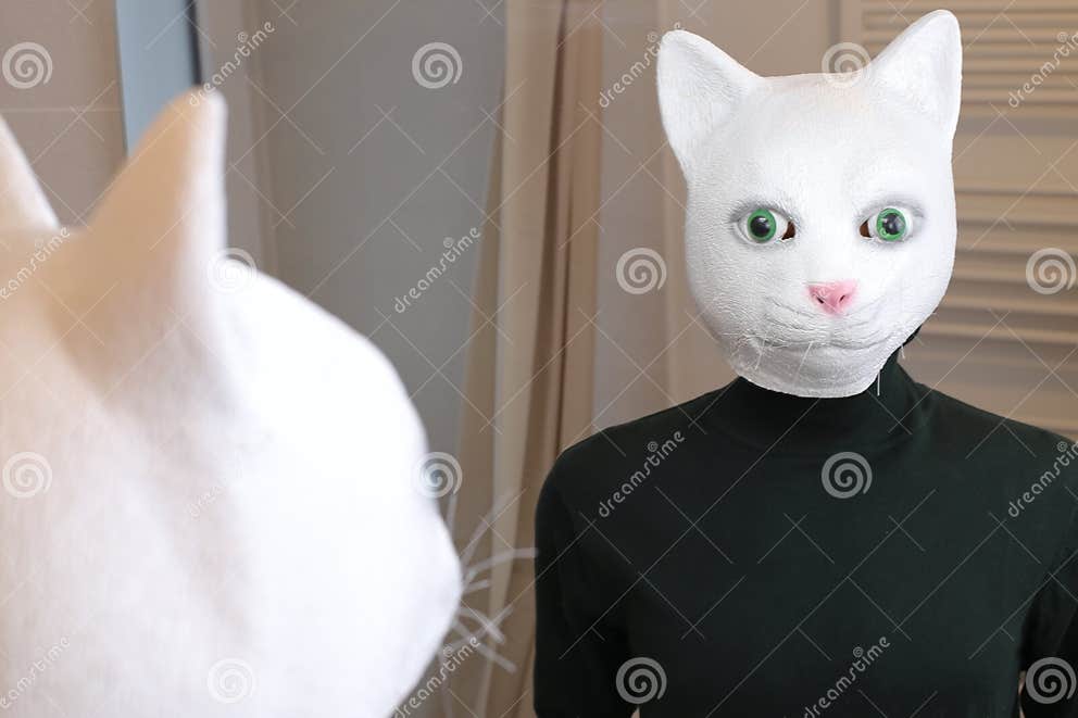 Cat Looking a Mirror Reflection Stock Photo - Image of meme, feline ...