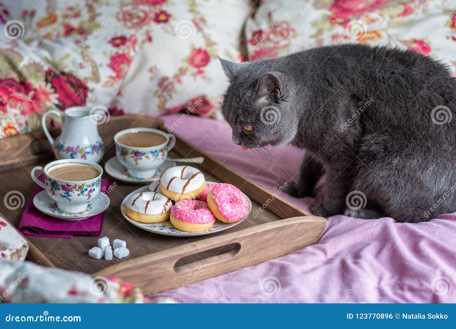 Cat Looks at the Breakfast with Donuts Stock Photo - Image of cute ...
