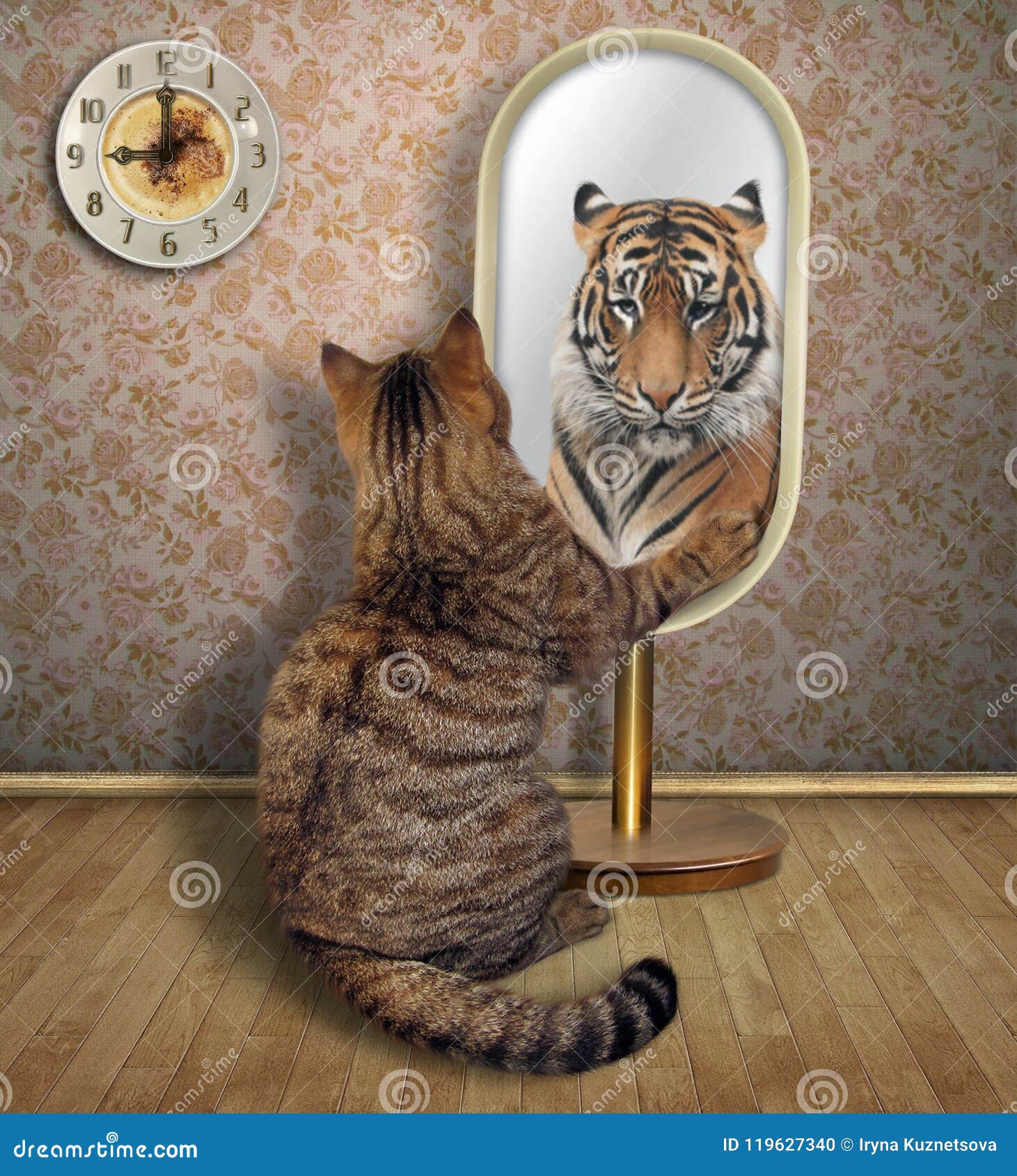 Cat Looks at His Reflection 3 Stock Photo - Image of look, back: 119627340