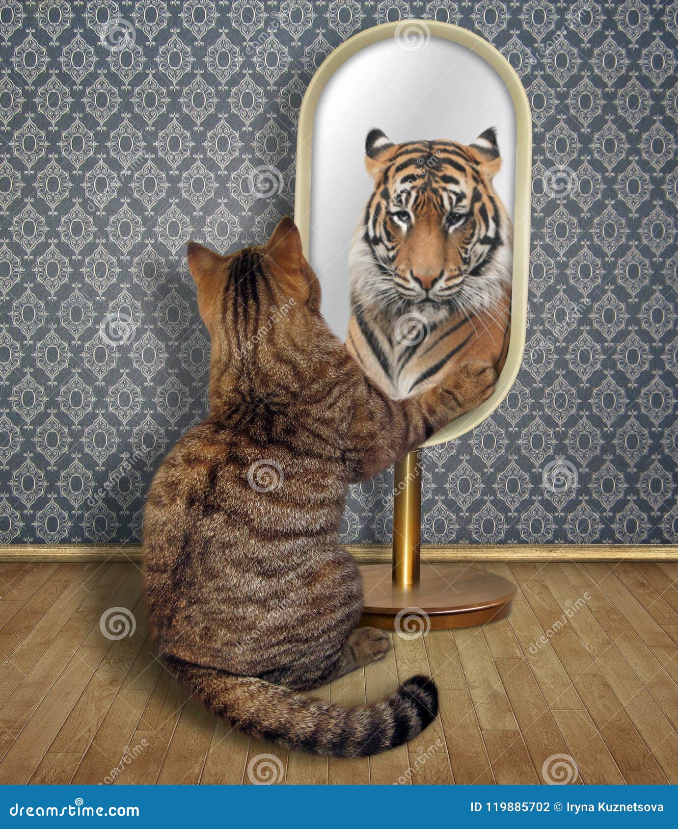 Cat Looks at His Reflection 2 Stock Photo - Image of imagination ... Cat Looks at His Reflection 2 Stock Photo - Image of imagination ...