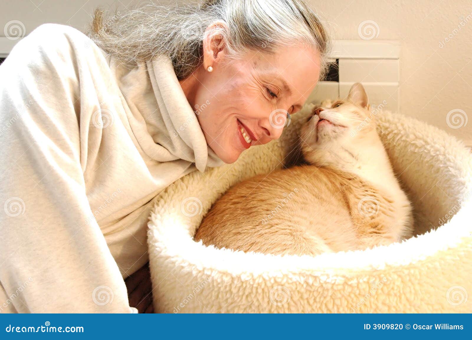 Cat Lover stock photo. Image of blonde, leisure, home - 3909820