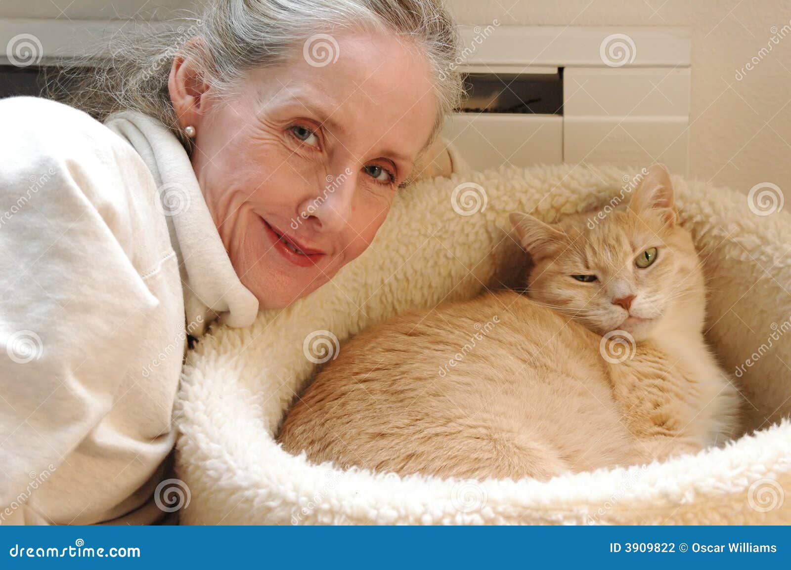 Cat Lover stock photo. Image of friend, beauty, lifestyle - 3909822