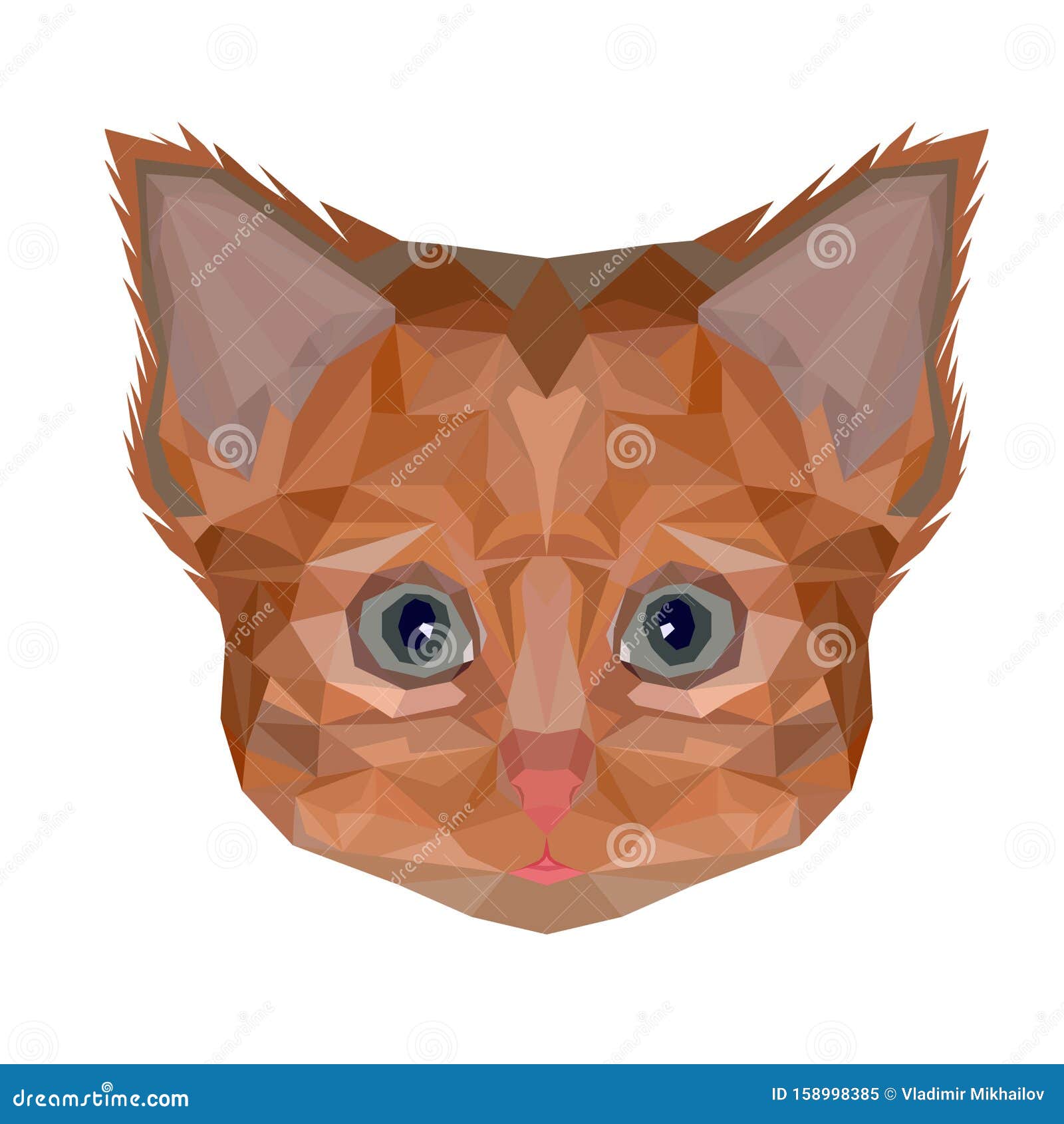 Cat Low poly stock vector. Illustration of animal, face - 158998385