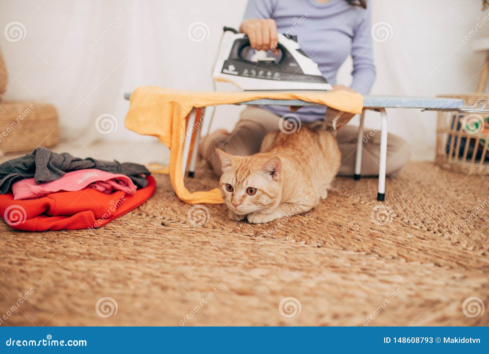Cat Lying Under Ironing Board at Home Stock Image - Image of people ...