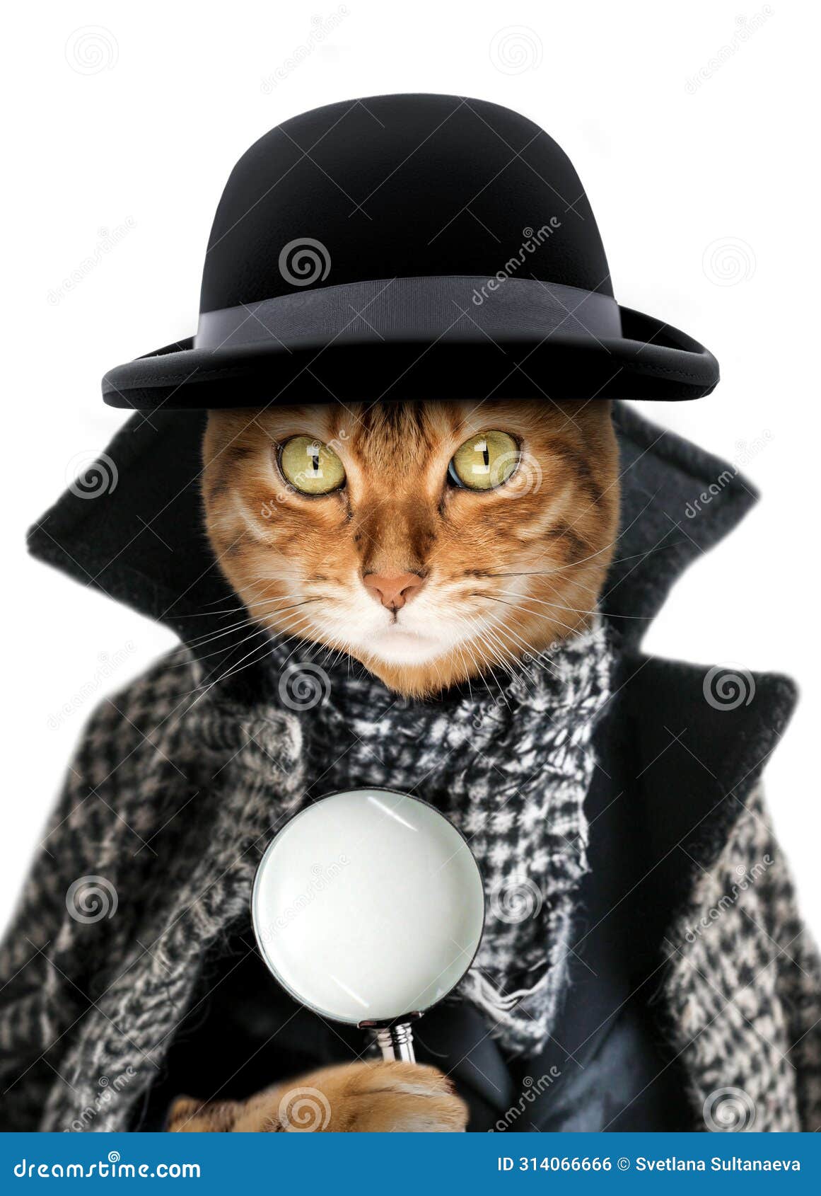 A Cat with a Magnifying Glass Dressed As a Detective or Sleuth Stock ...