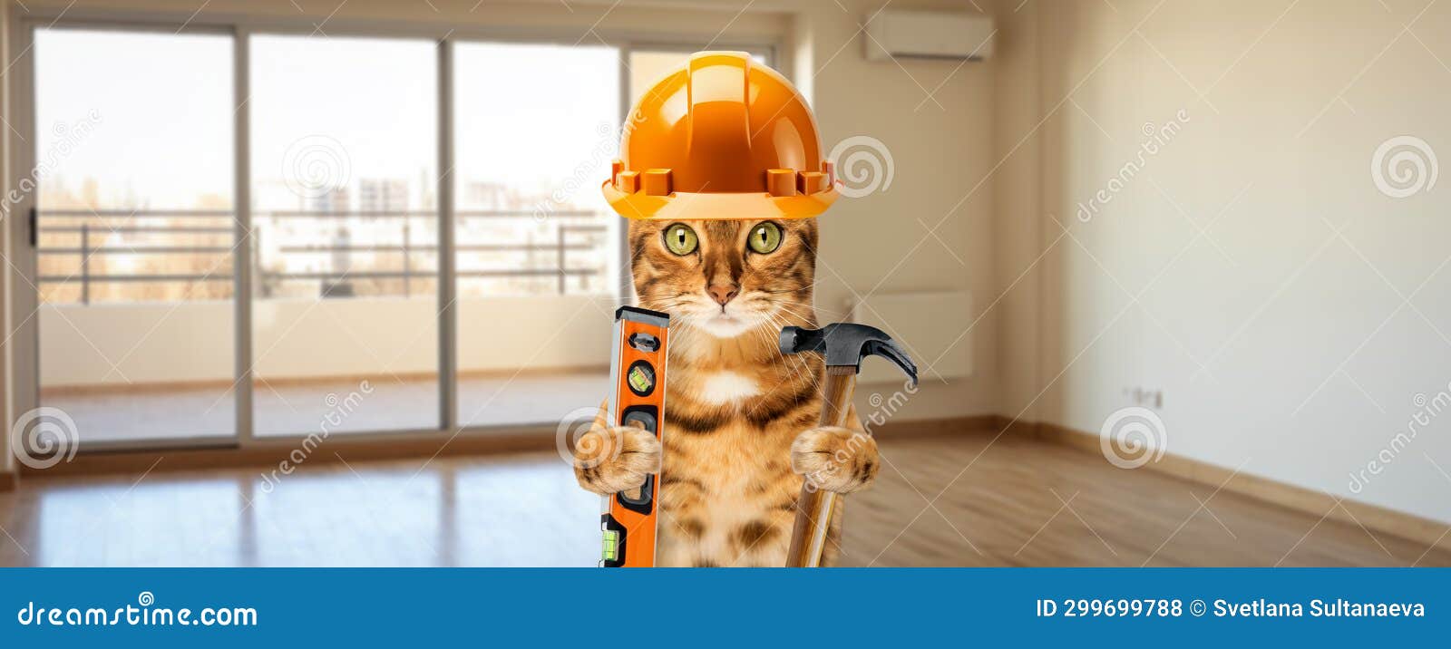 The Cat is Making Repairs in the Apartment. Interior Renovation Stock ...