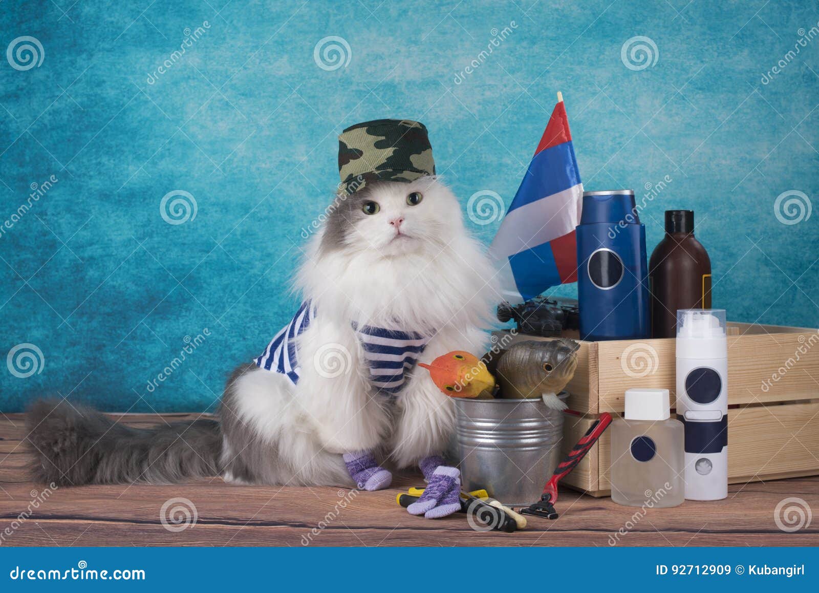 Cat in a Military Suit with a Russian Flag Stock Image - Image of ...