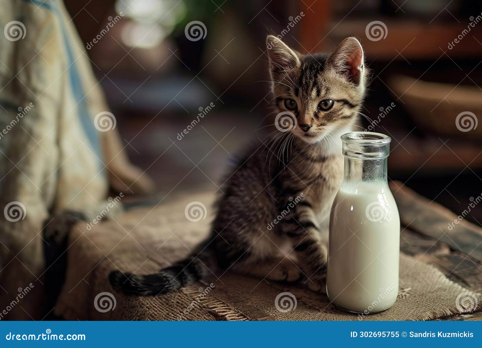 Cat and Milk. Generative AI Stock Illustration - Illustration of animal ...