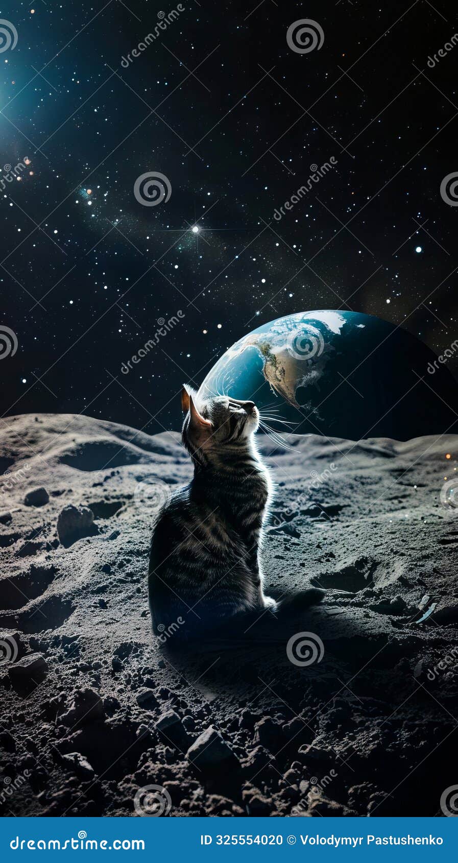 Cat on the moon wallpaper stock photo. Image of generated - 325554020