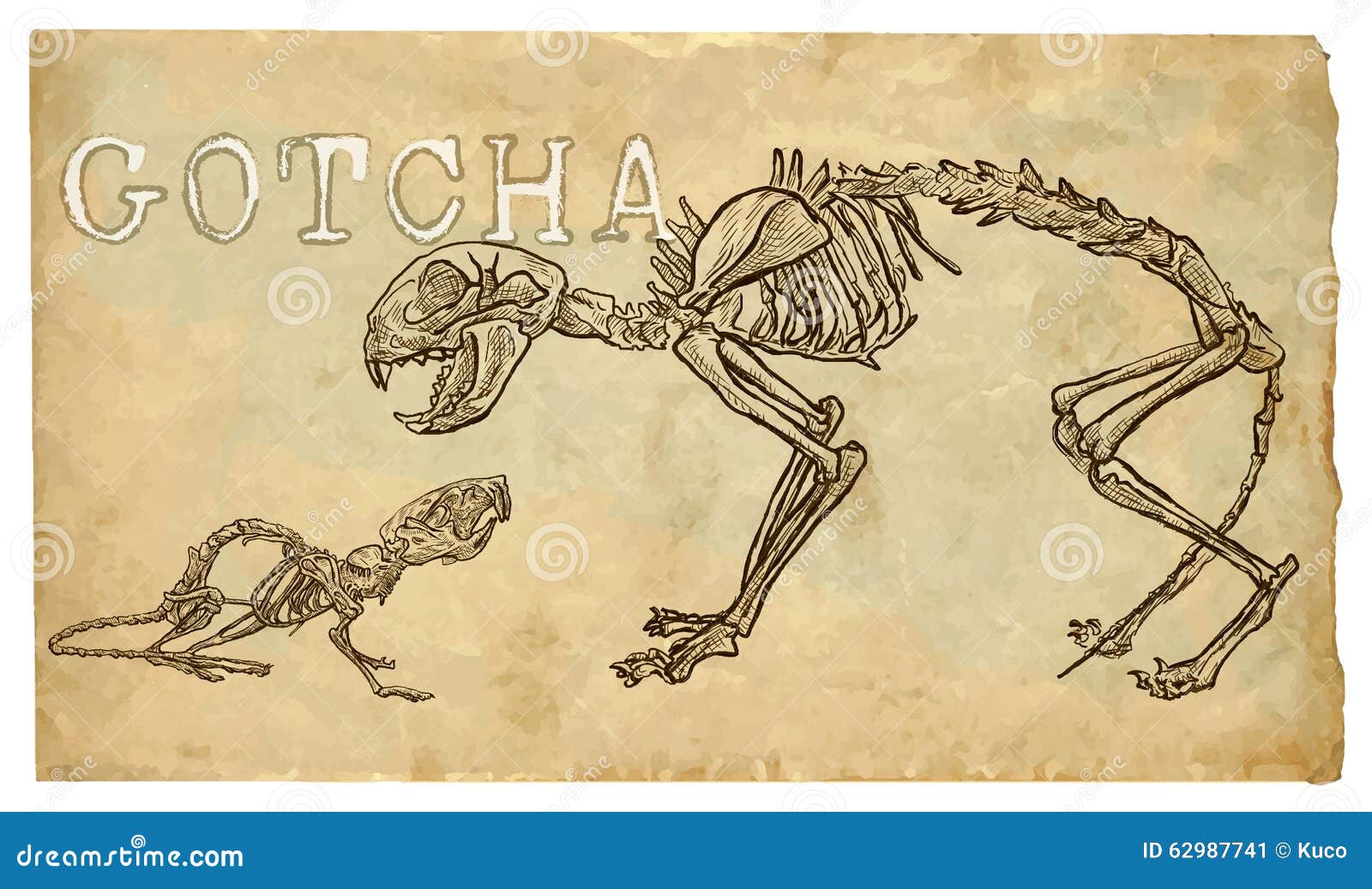 Cat and Mouse, Skeletons - Freehand Vector Stock Vector - Illustration ...