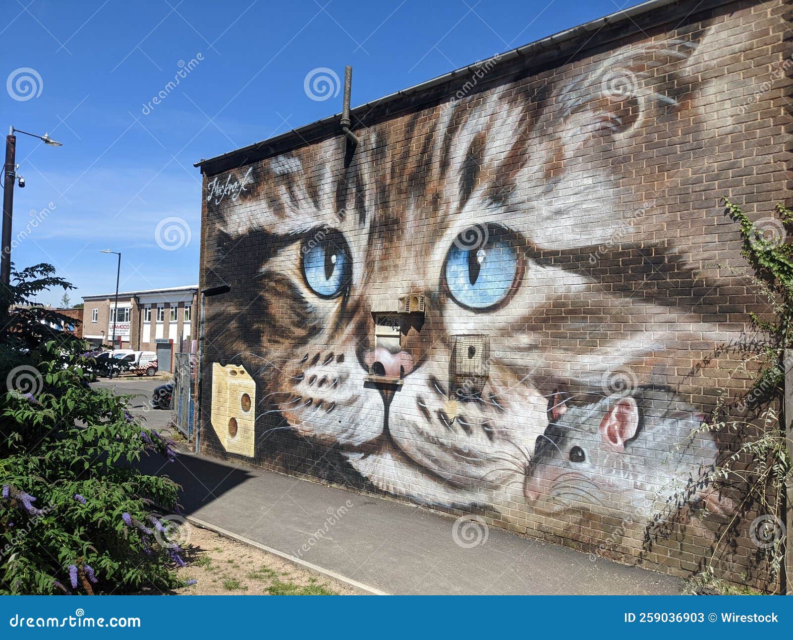 Cat and Mouse Street Graffiti Art in Leamington Spa Editorial Stock ...