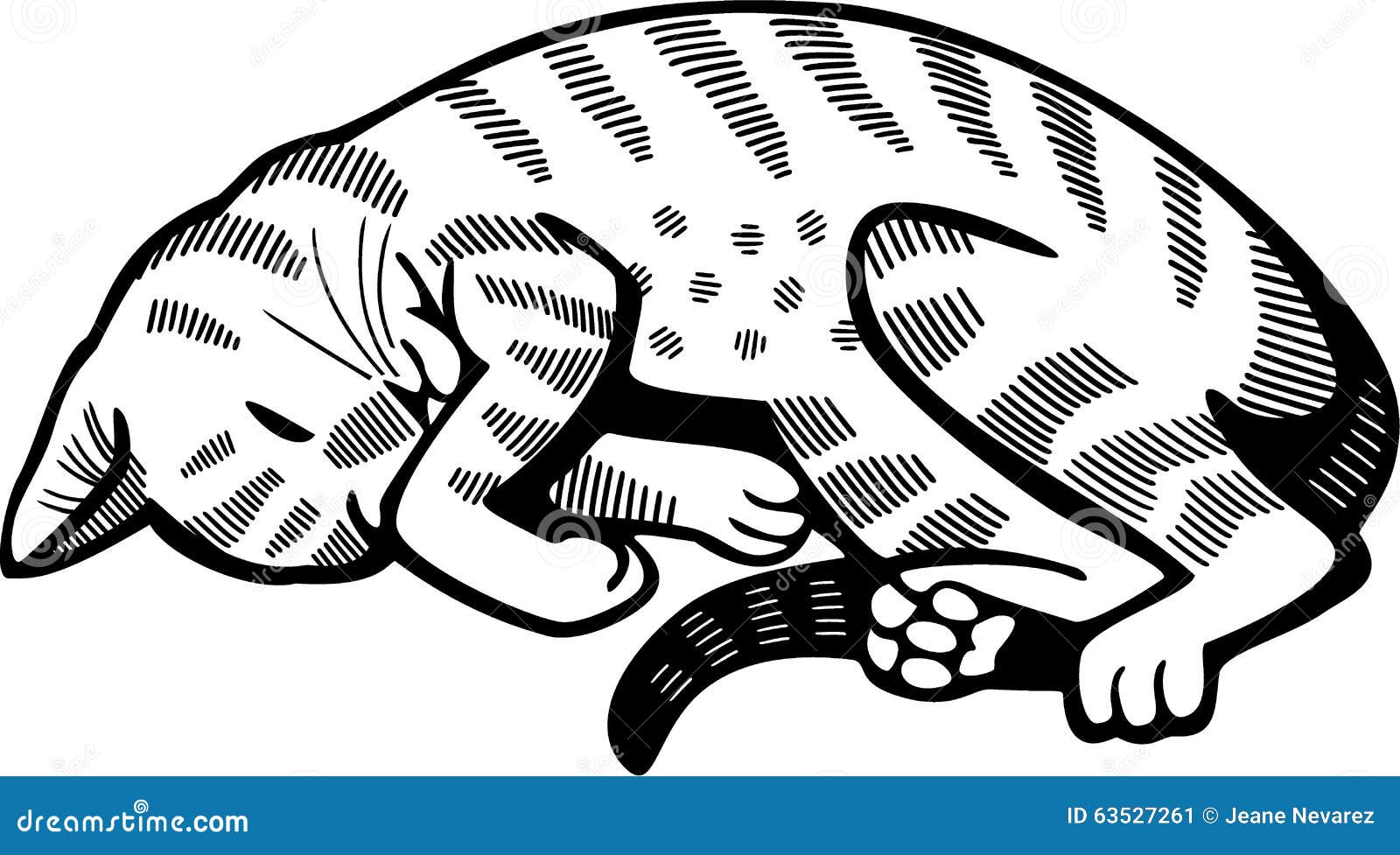 Cat Nap ilustración del vector. Ilustración de rayado - 63527261
